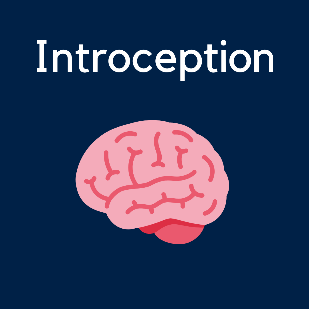 Sensory processing differences – Sensory Street