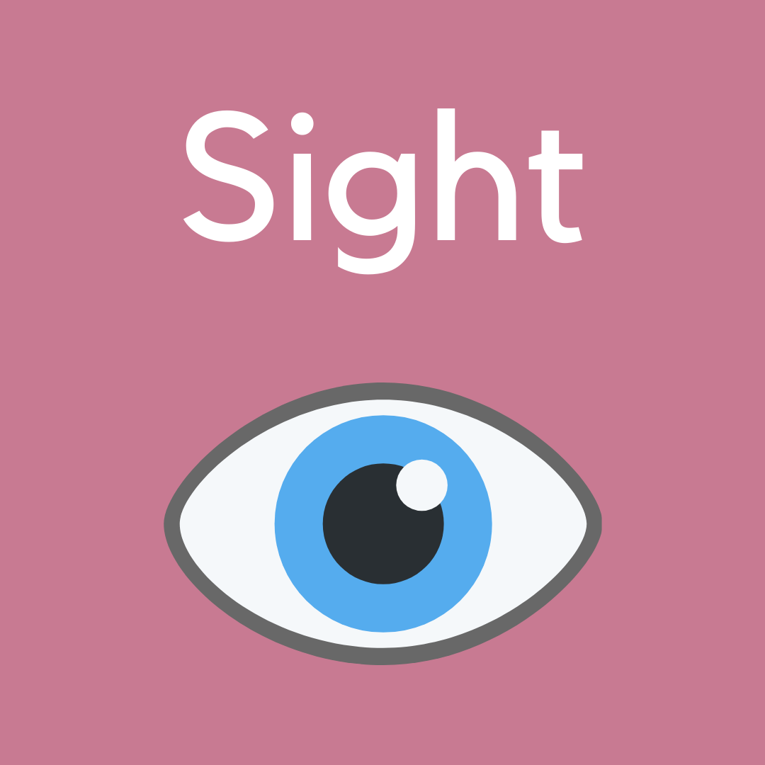 Sensory processing differences – Sensory Street