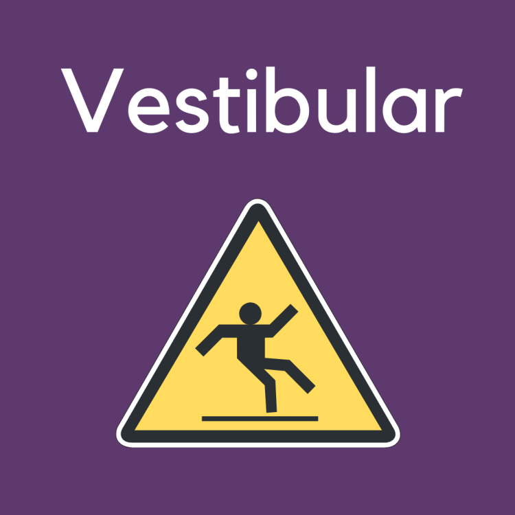 Sensory processing differences – Sensory Street