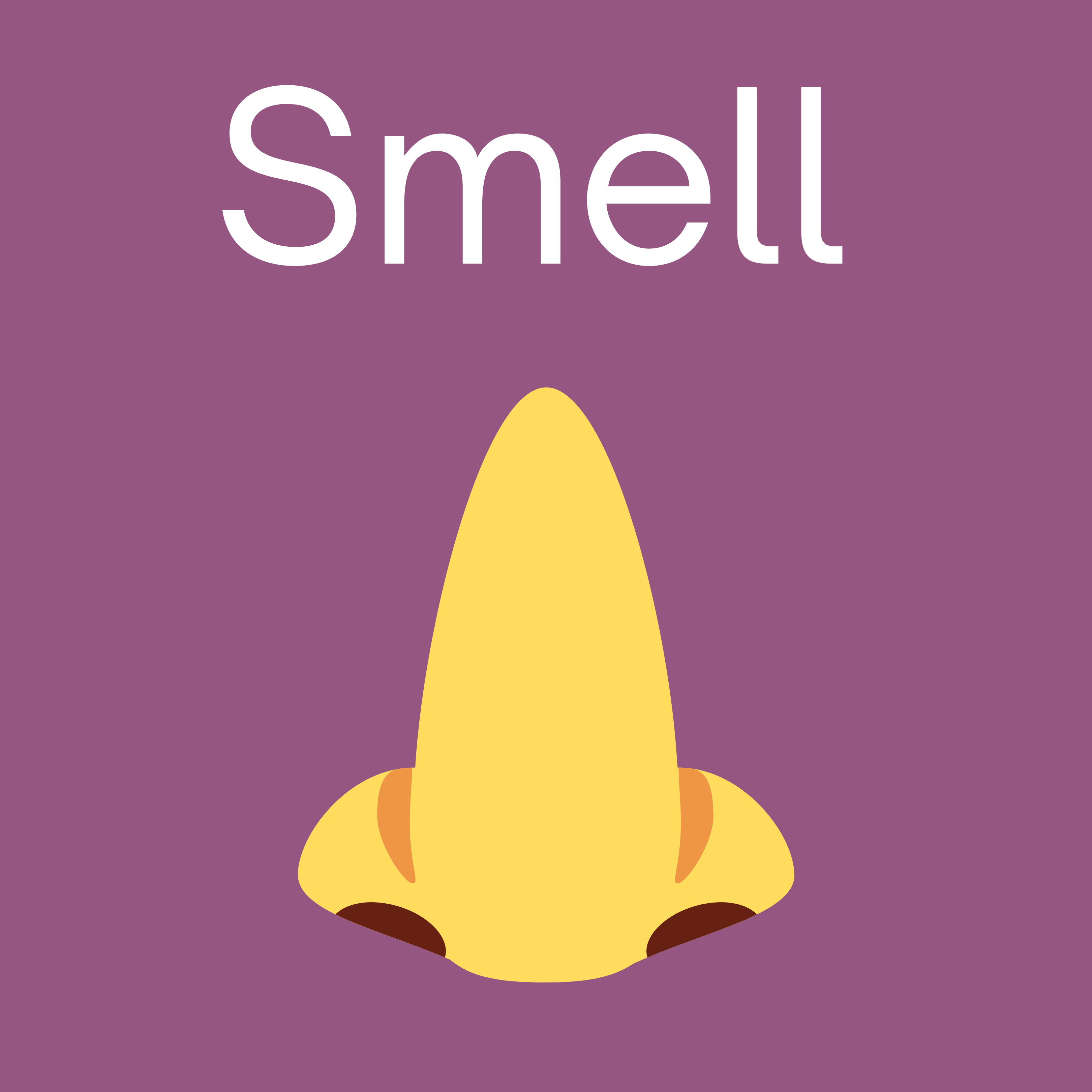 Sensory processing differences – Sensory Street